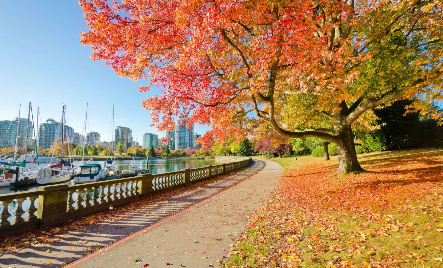 Letenky do Vancouveru - levněji až o 80% | Cestujlevne.com