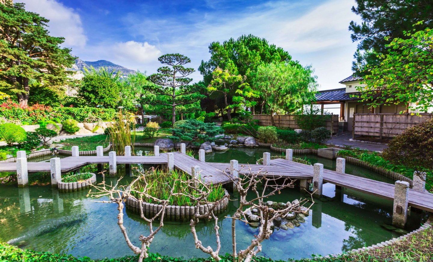 Japonská zahrada, Monako | vše, co potřebujete vědět