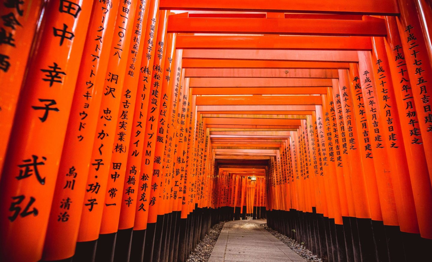 Kyoto, Japonsko | vše, co potřebujete vědět