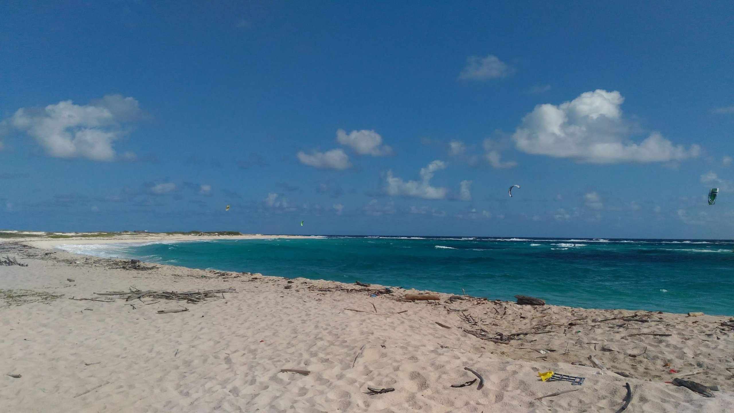 Aruba aneb hlavně pláže a (občas) plameňáci