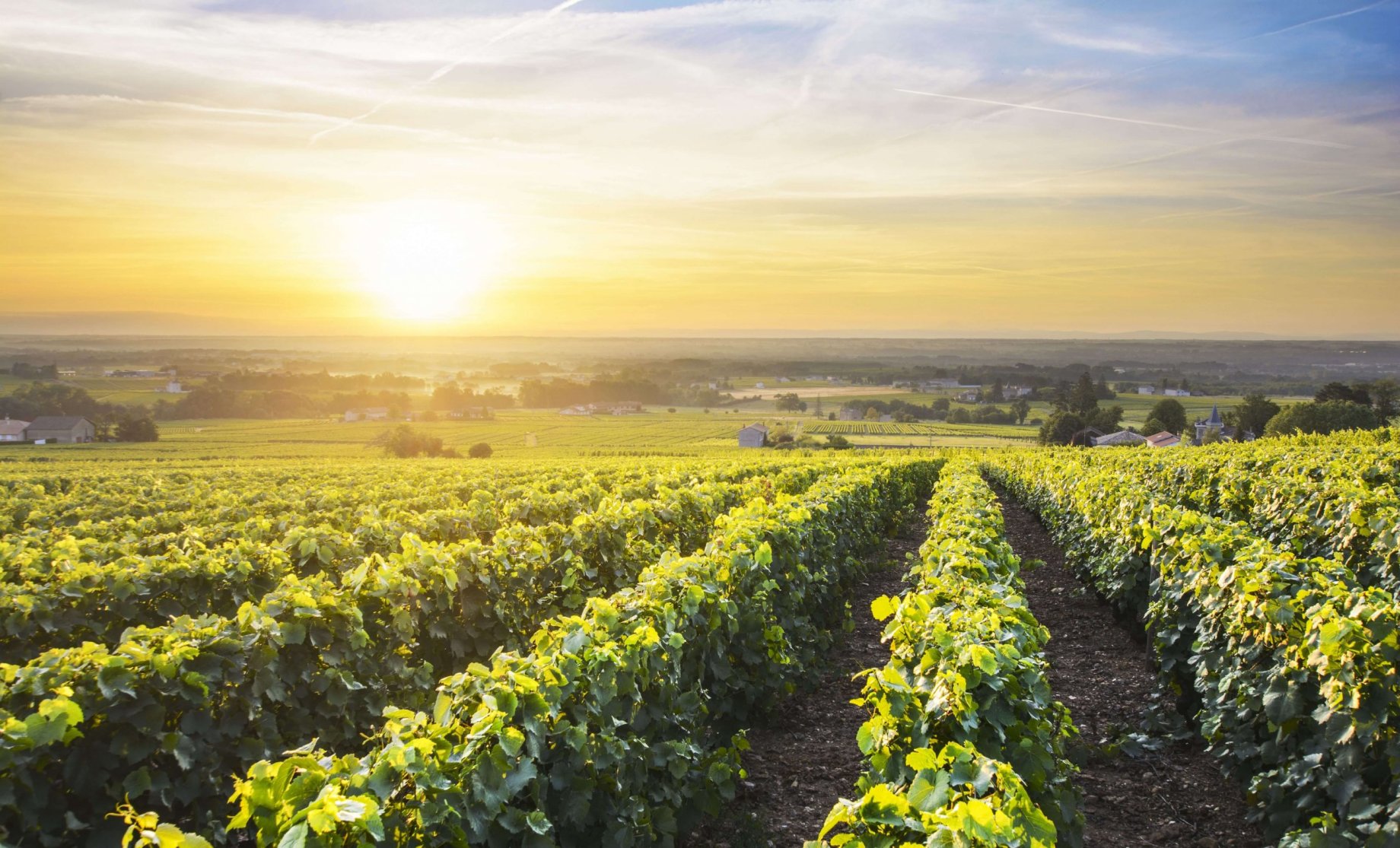 16 míst co vidět a navštívit ve Francii (+ mapa)