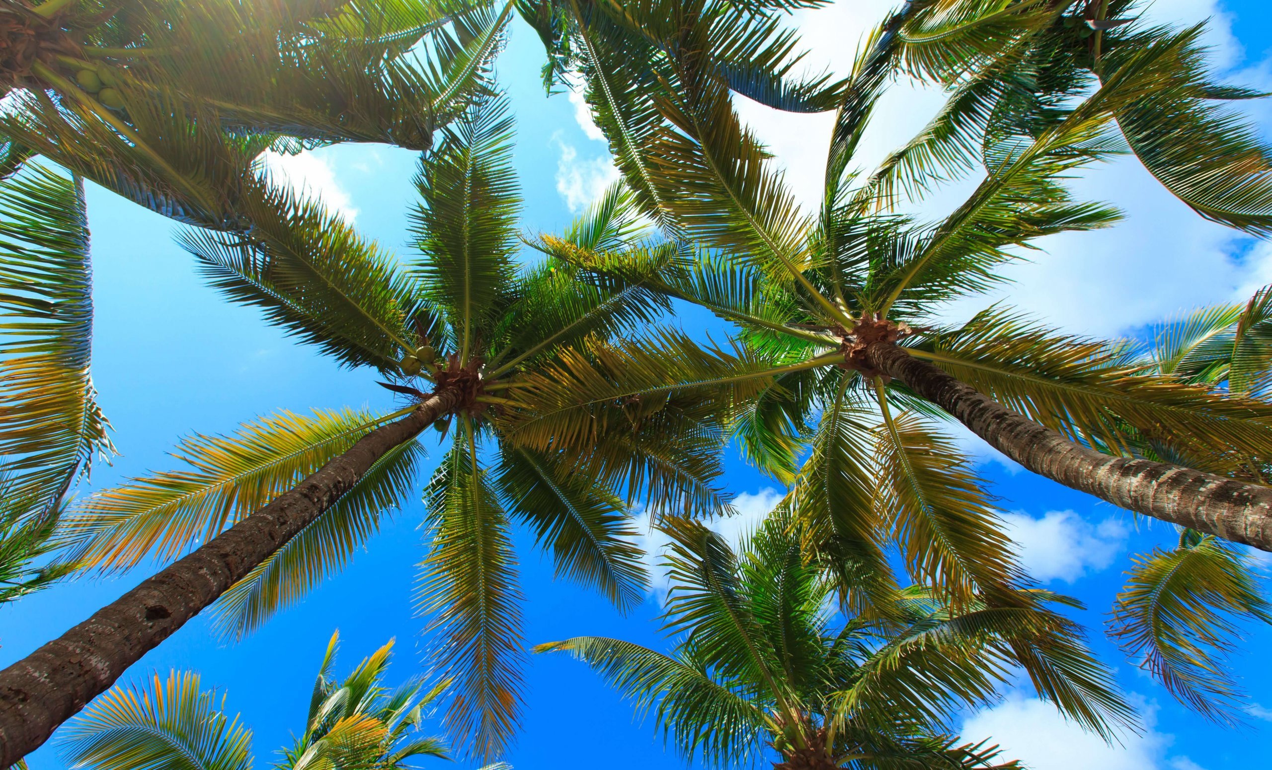 Command Ridge, Nauru | vše, co potřebujete vědět