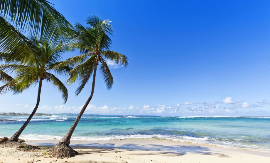 Le Moule, Guadeloupe | vše, co potřebujete vědět