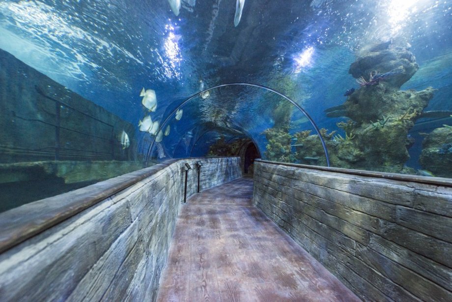 Malta National Aquarium | Vstupné | Cestujlevne.com
