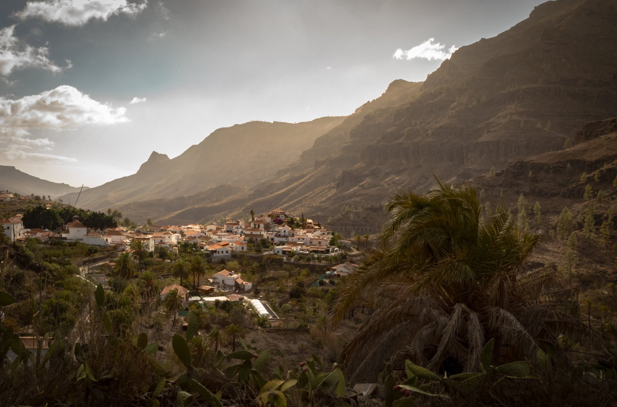 Údolí Fataga - Gran Canaria | Cestujlevne.com