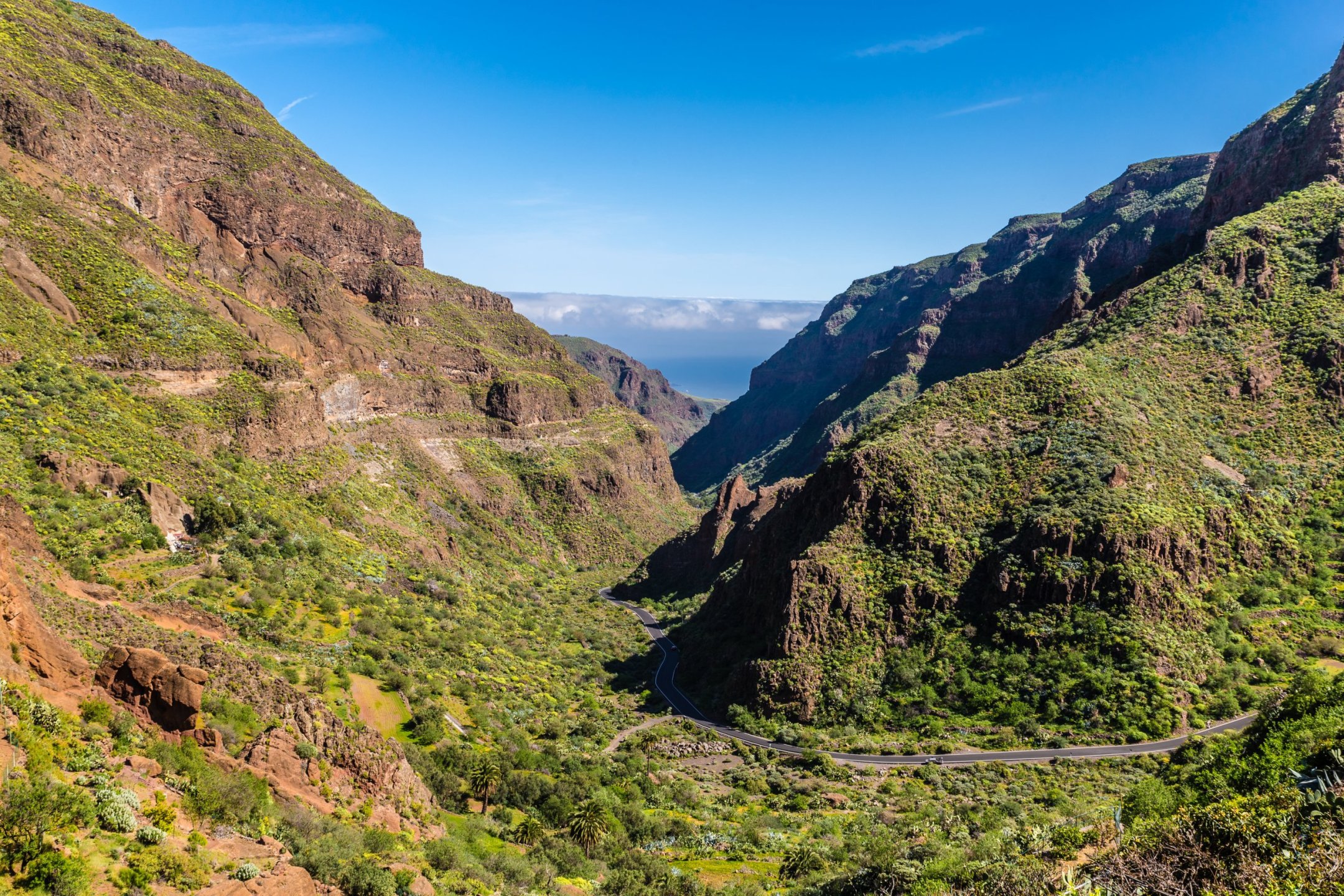 Údolí Guayadeque - Gran Canaria | Cestujlevne.com