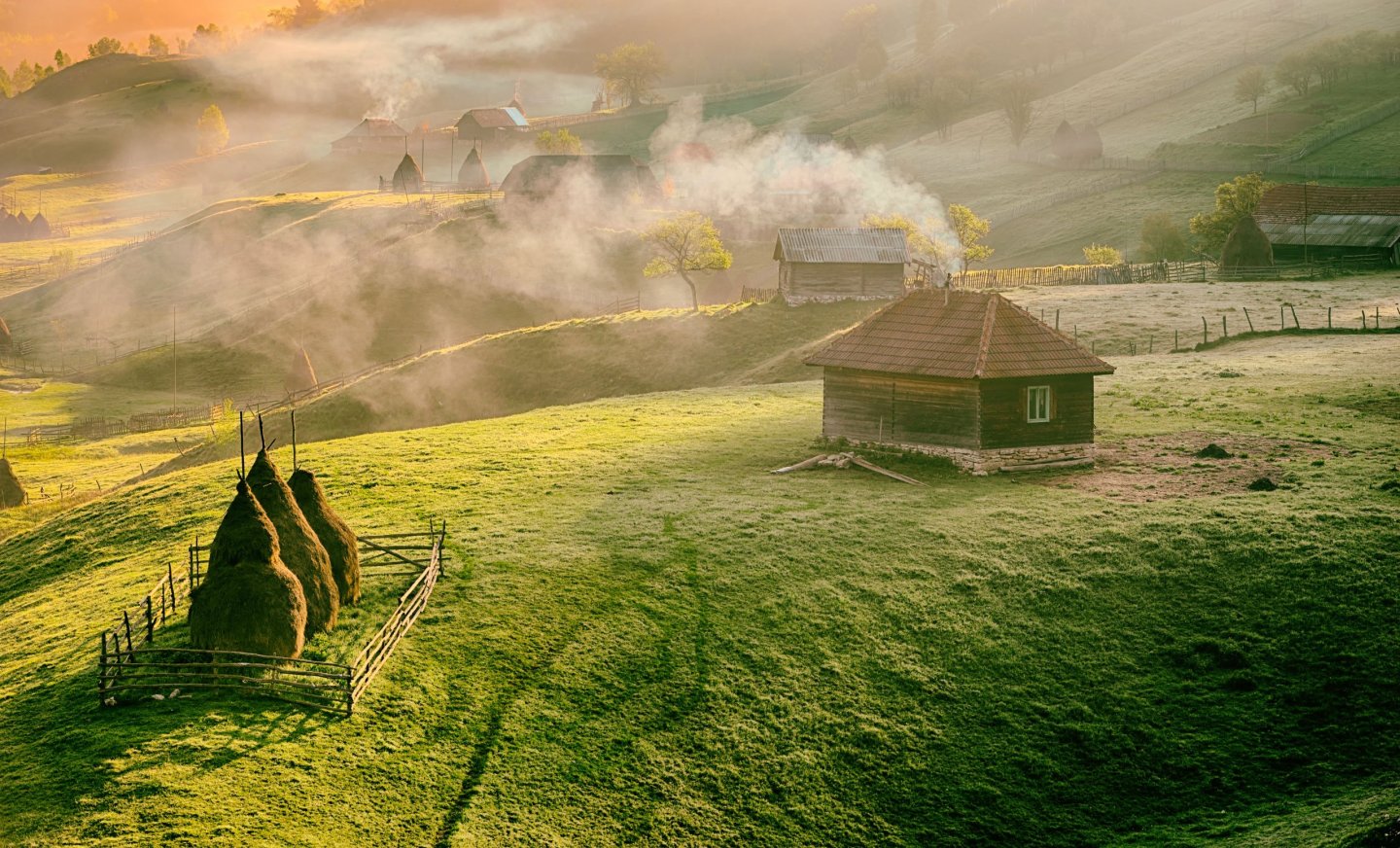 Jídlo v Rumunsku | typické a národní speciality, co ochutnat