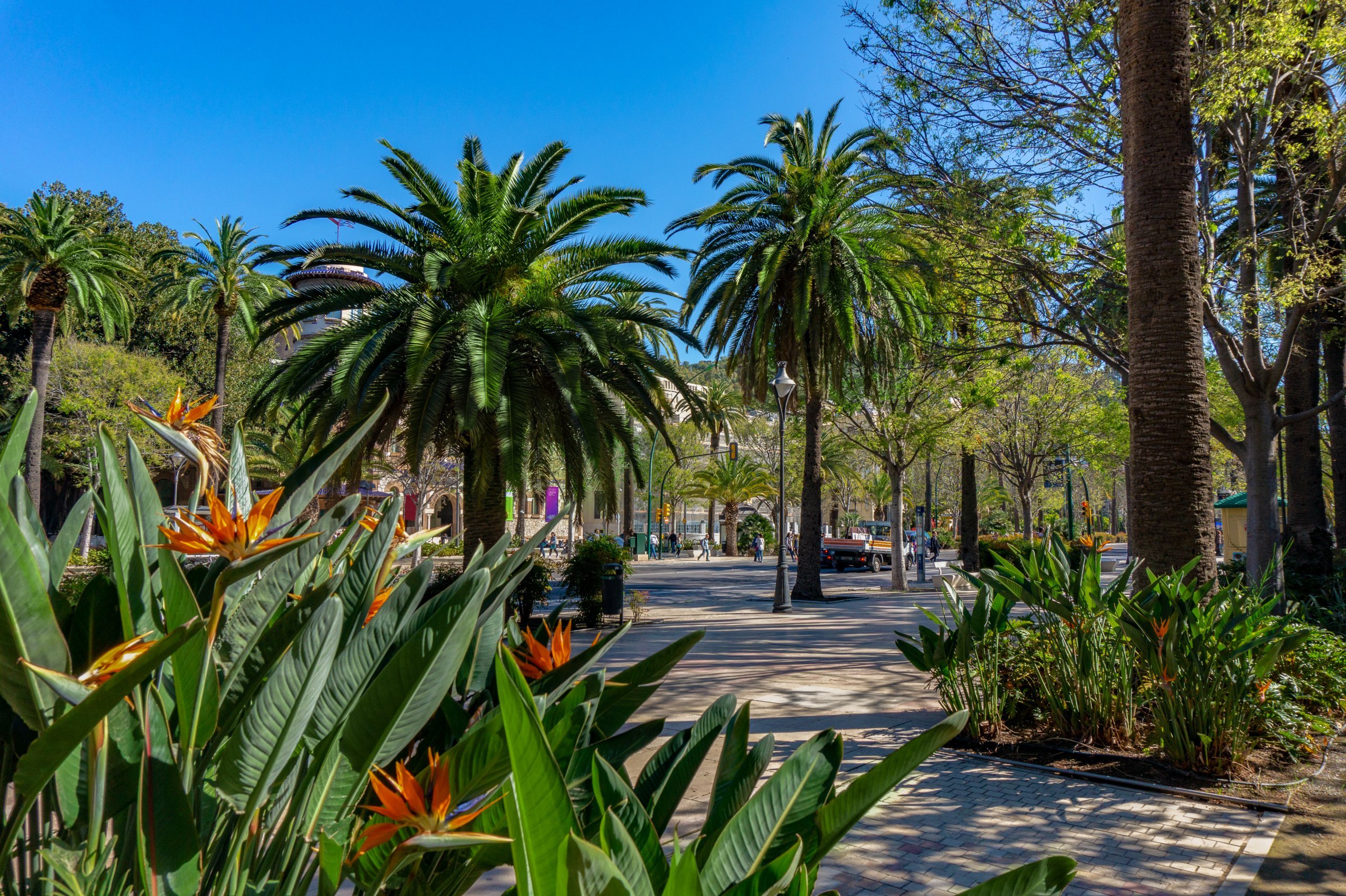 Parque de Málaga - Málaga | Cestujlevne.com