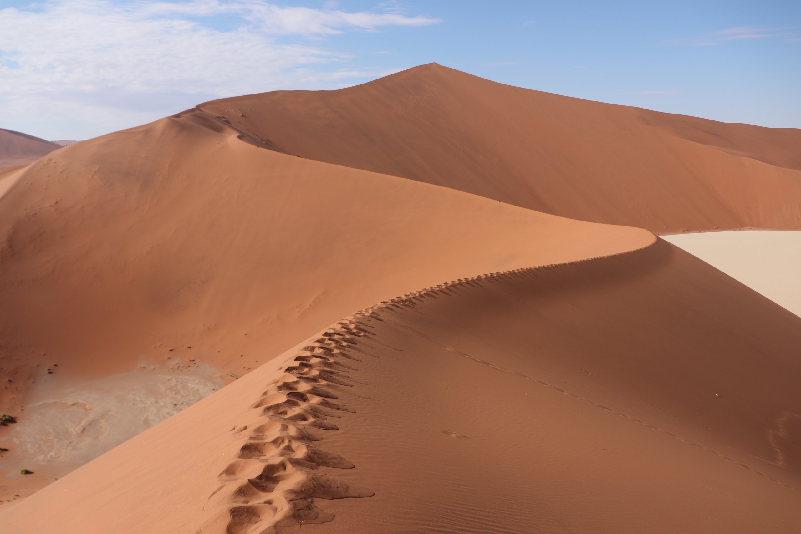 Namibie 2021 - Duny a lvi z Kalahari