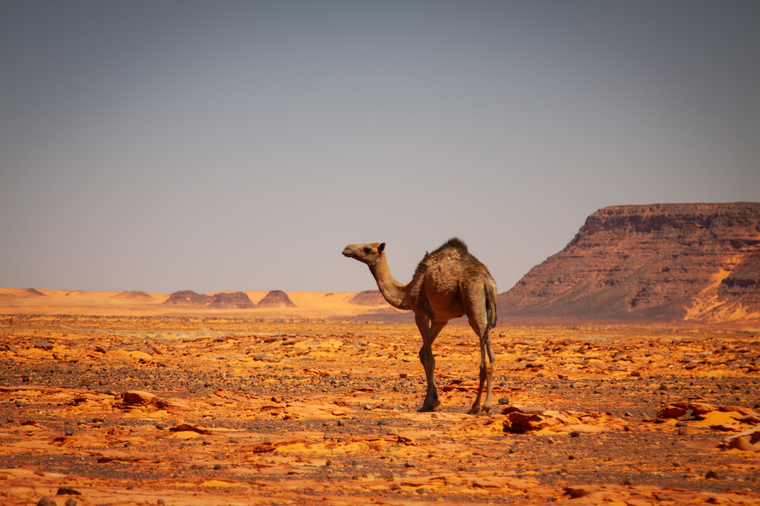 ČAD perla v srdci Sahary