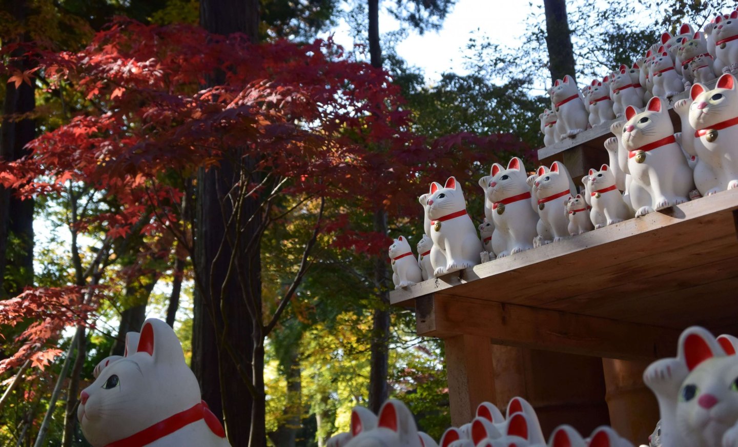 Japonsko kultura | lidé, svátky, jazyk a tradice