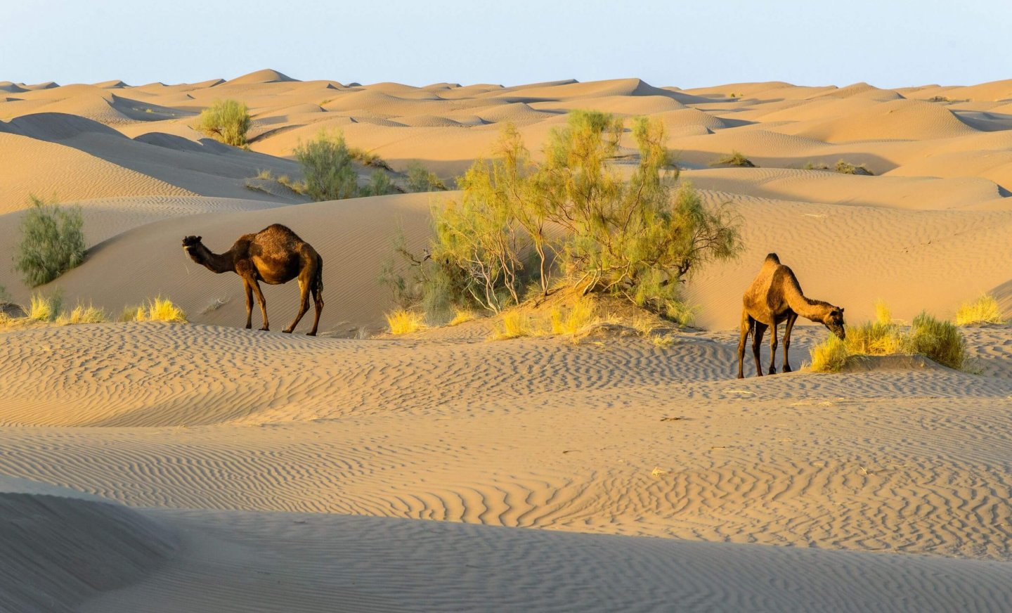 Dašt e-Kavír, Írán | vše, co potřebujete vědět
