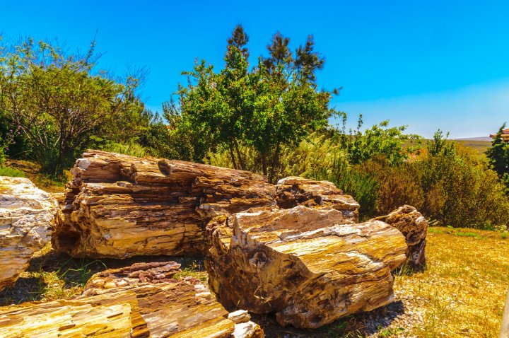 13 míst co vidět a navštívit na Lesbu | Cestujlevne.com