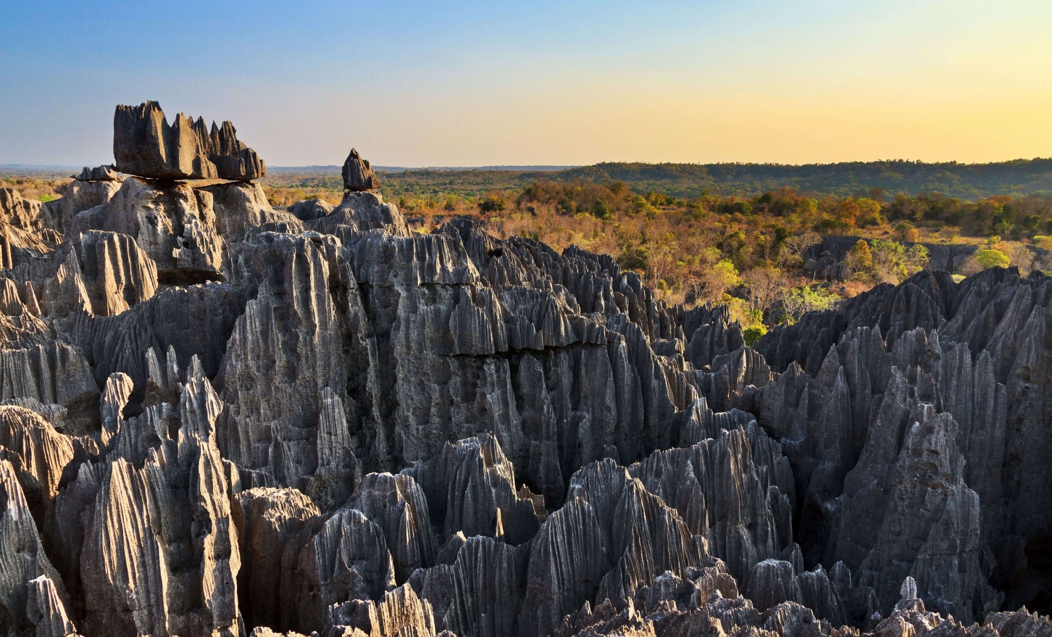 Tsingy de Bemaraha, Madagaskar | vše, co potřebujete vědět