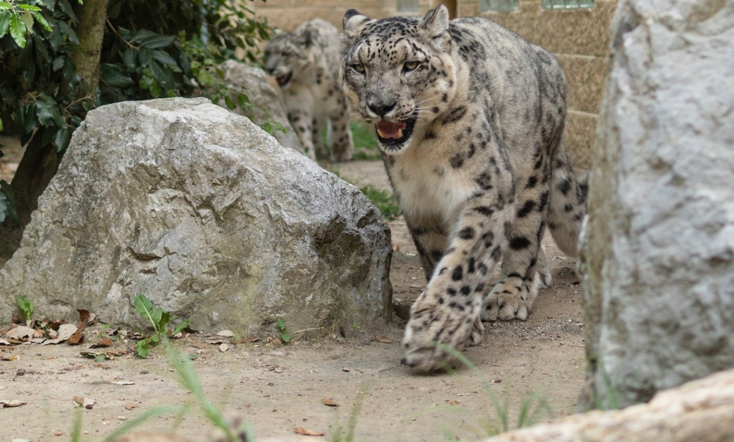 Parco Zoo Punta Verde - Lignano Sabbiadoro | Cestujlevne.com