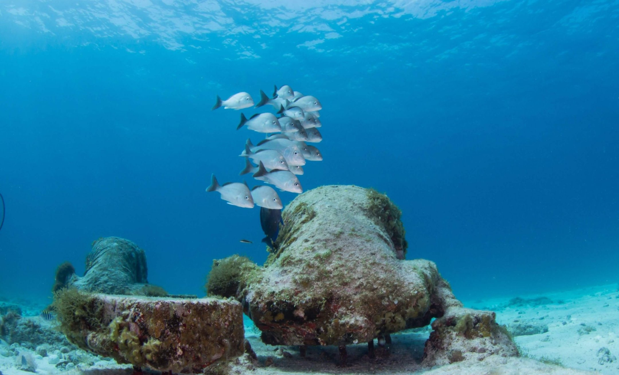 Podvodní muzeum Musa, Mexiko | vše, co potřebujete vědět