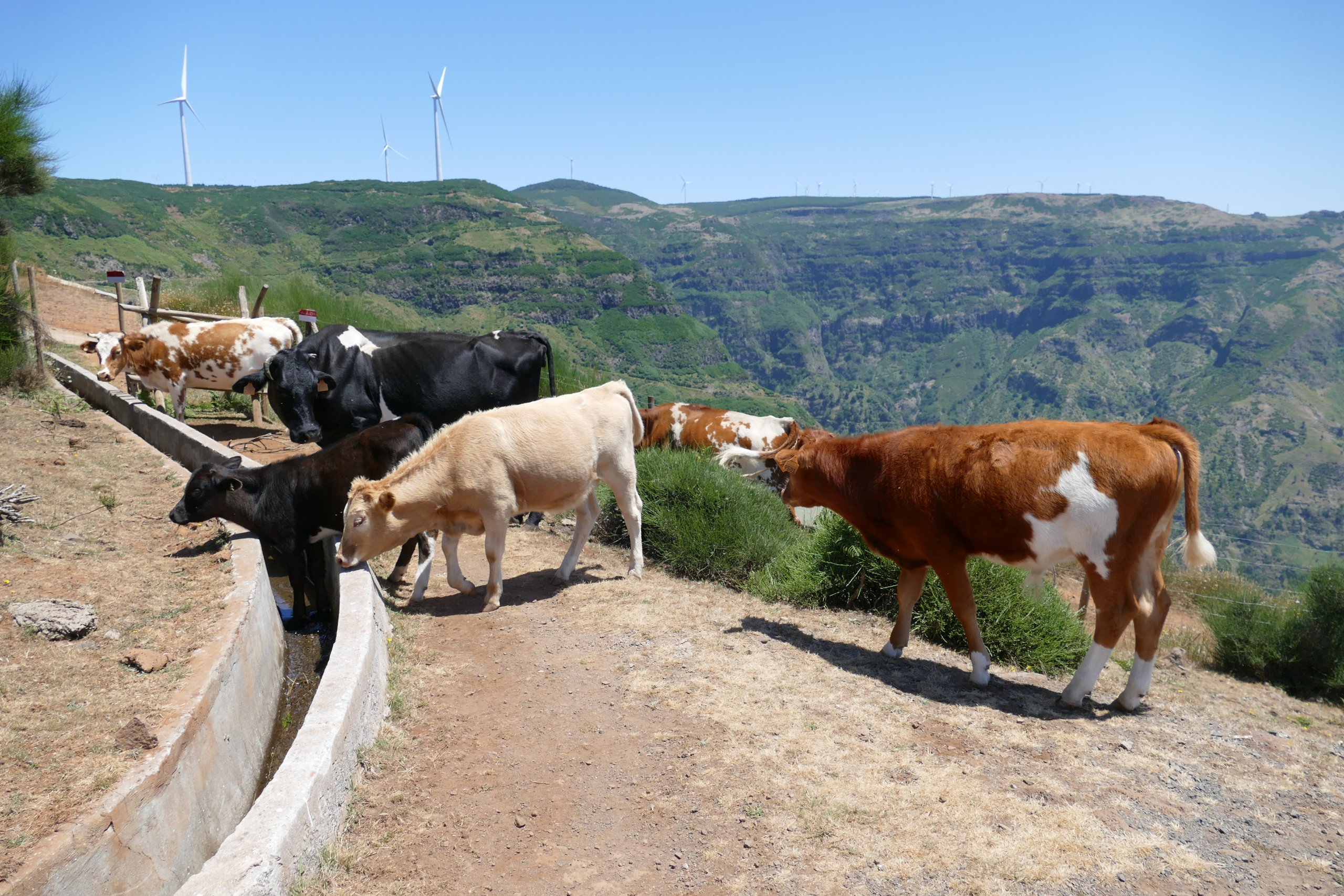 Madeira - méně známé treky a zajímavá místa