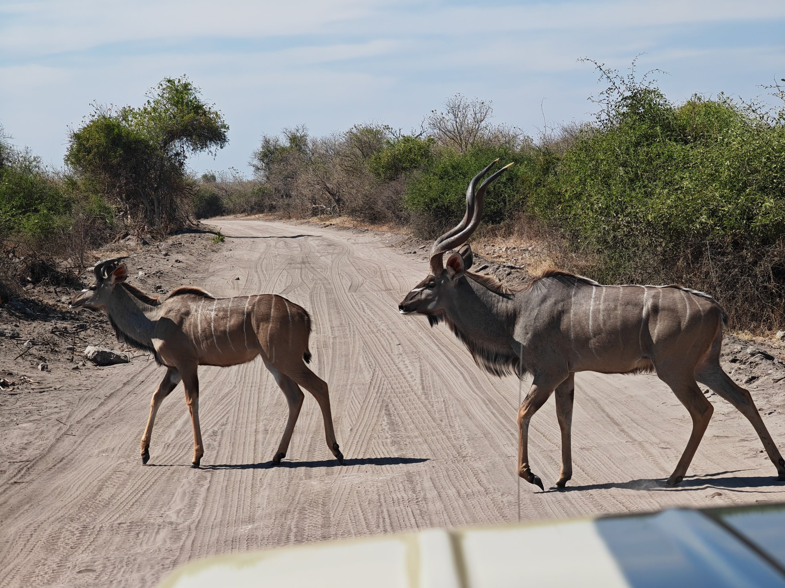 Viktoriiny vodopády, delta Okavanga (Zimbabwe, Zambie, Botswana)
