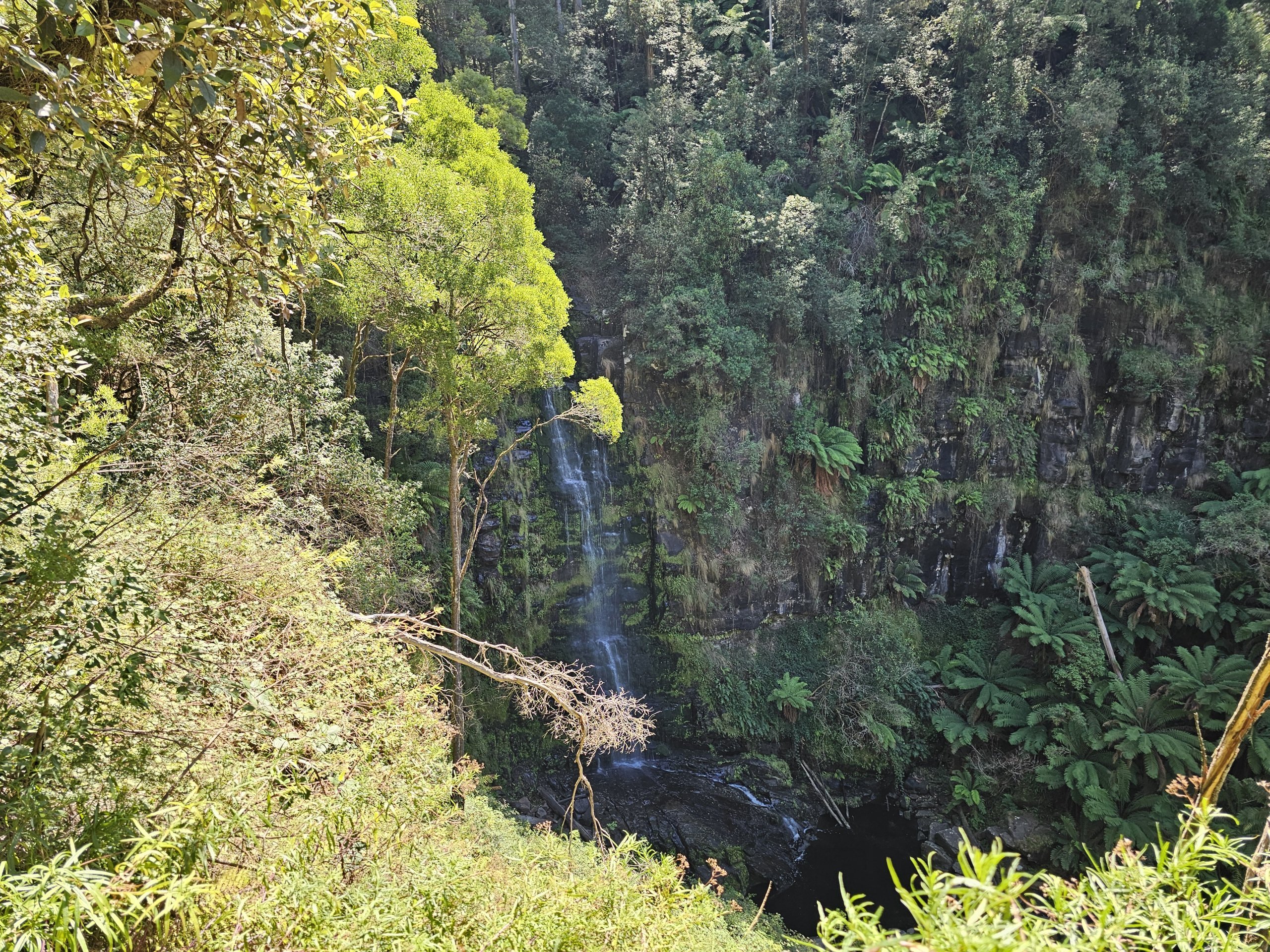 Erskine Falls - Great Ocean Road | Cestujlevne.com